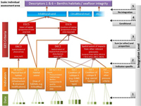 Workshop Internationale Datastromen - Informatiehuis Marien